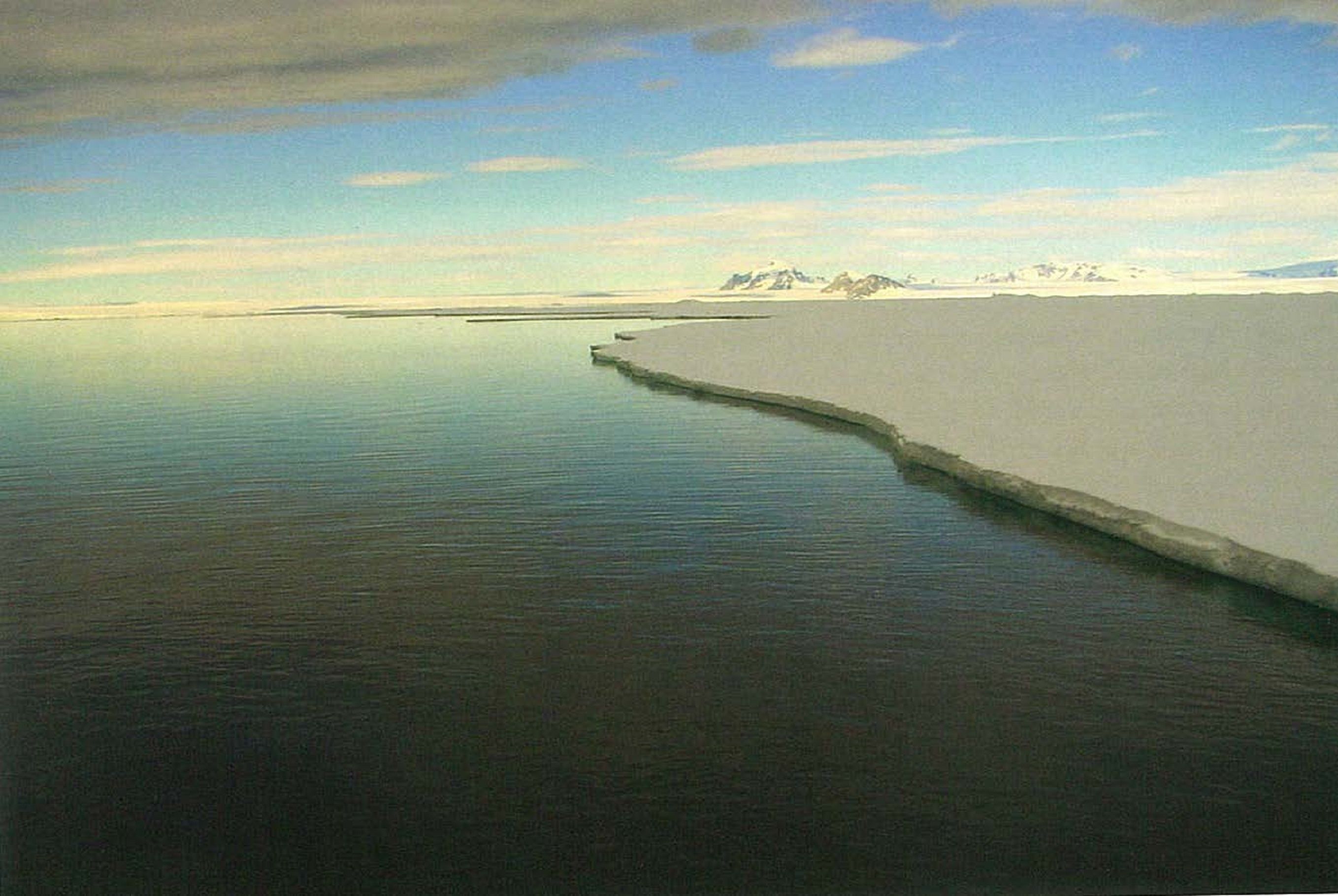 Saturday 17 February 2001 - Blake NZ