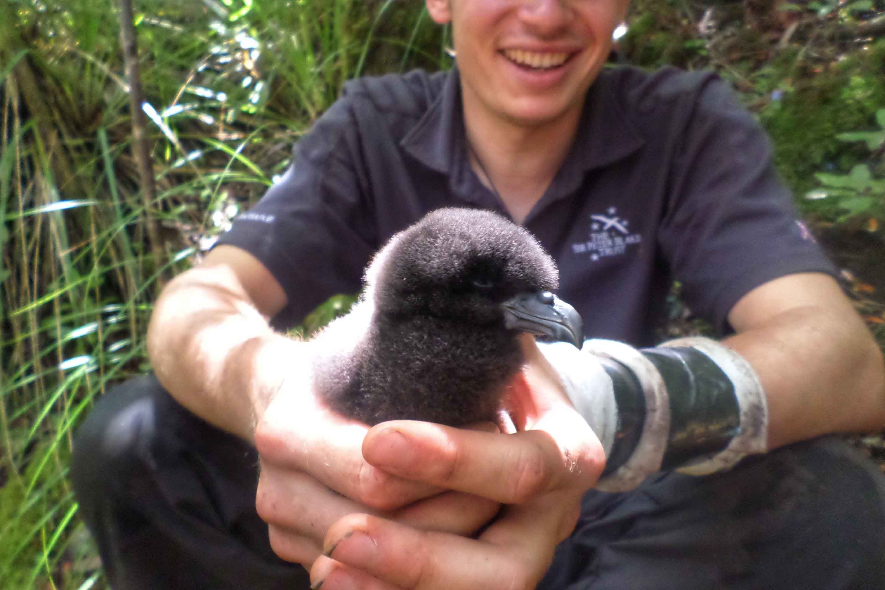 Homeland Conservation - Blake NZ