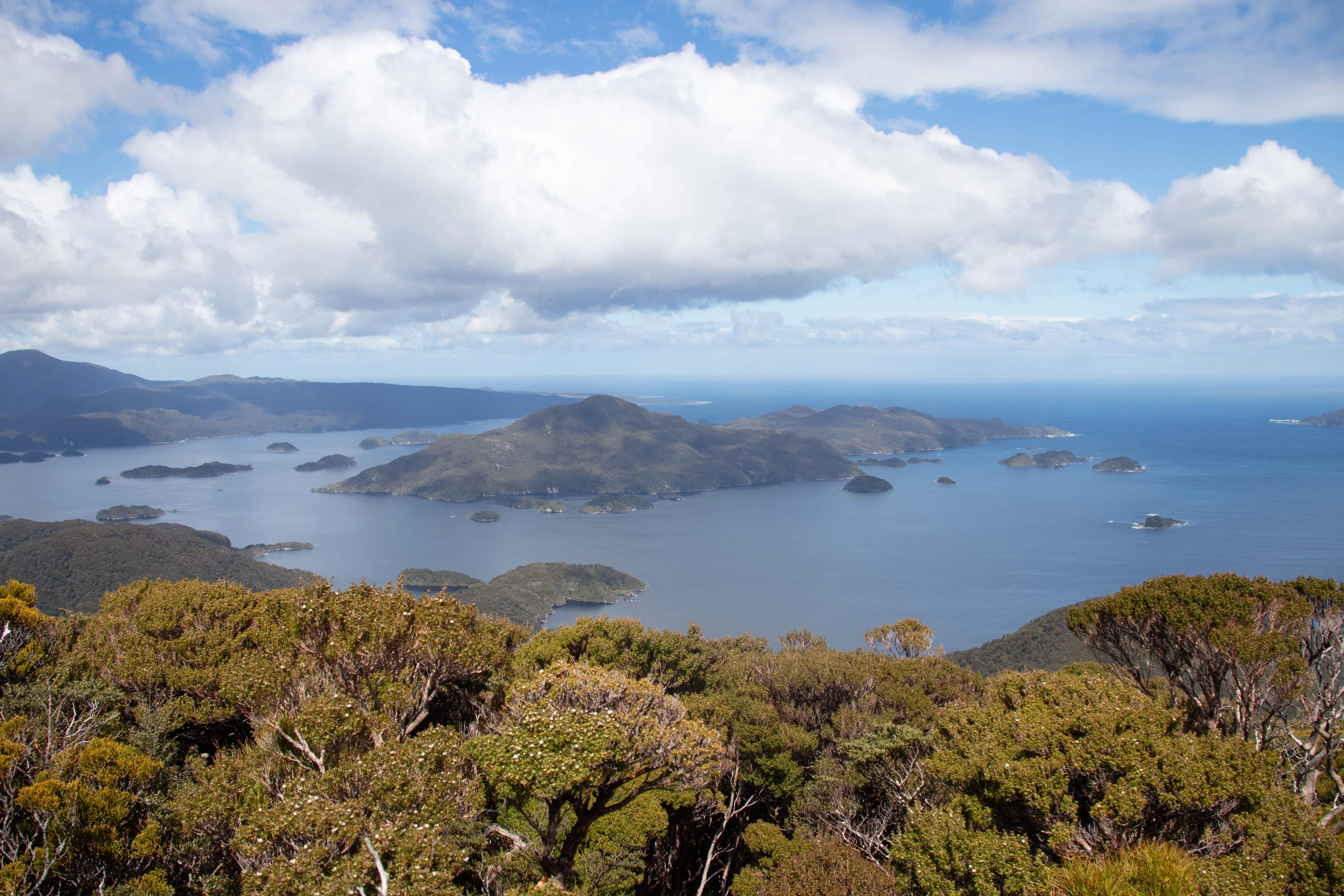 Abundant With Birds - Blake NZ
