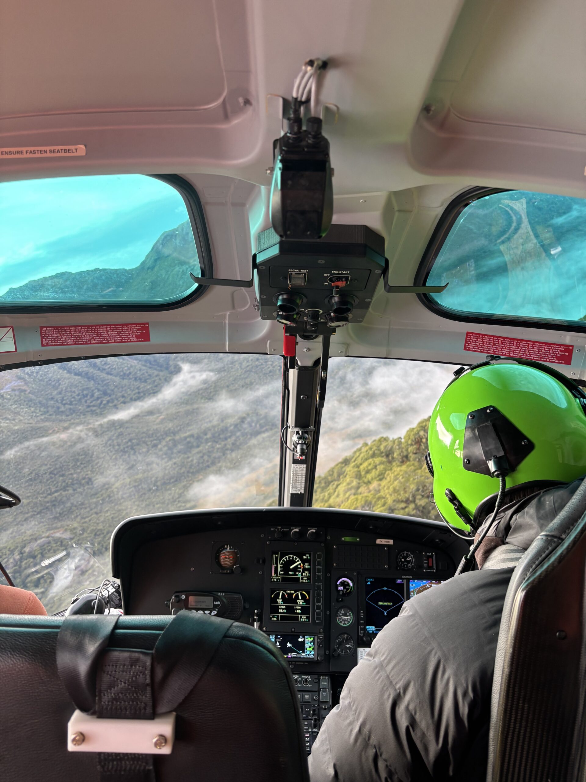 BLAKE Ambassadors reflect on two weeks with DoC's takahē recovery team ...